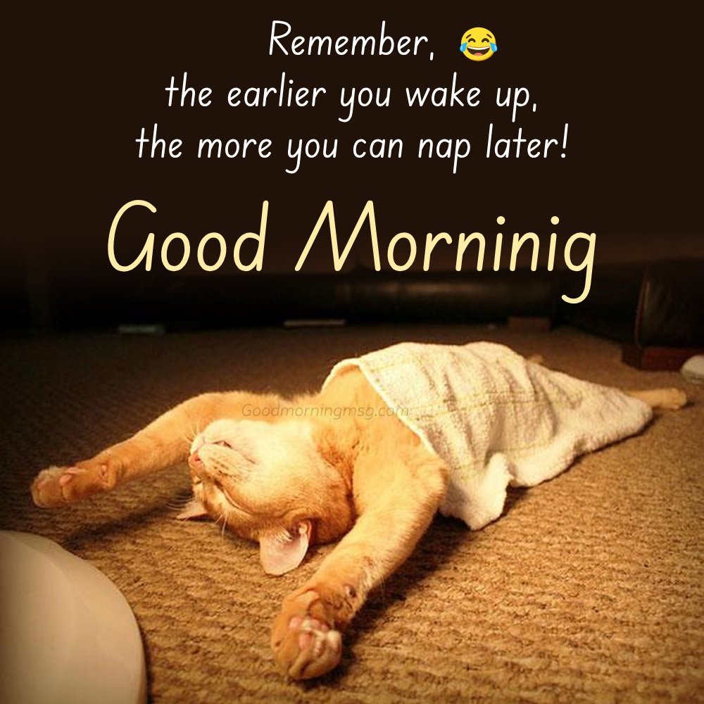 Short Funny Good Morning Memes For Her Infoupdate