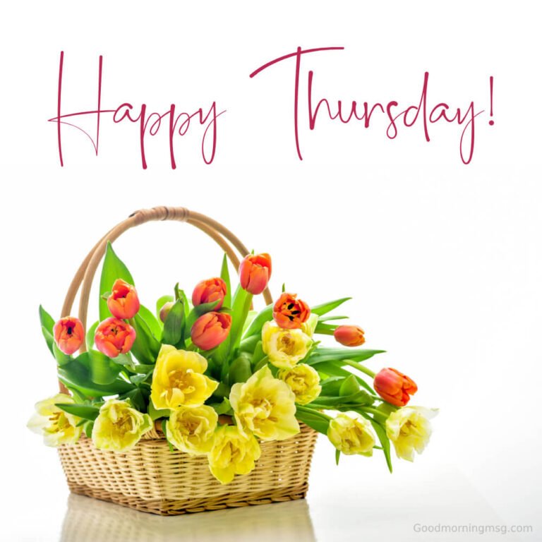 Happy Thursday With Yellow Flower Full HD Download - goodmorningmsg.com ...