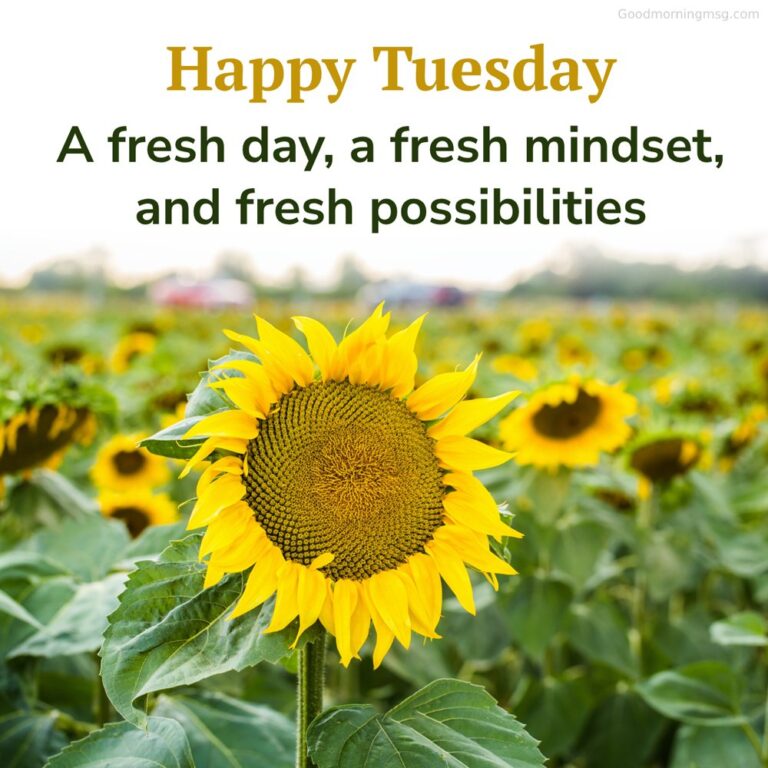 280+ Tuesday Good Morning Blessings Quotes And Images - goodmorningmsg ...