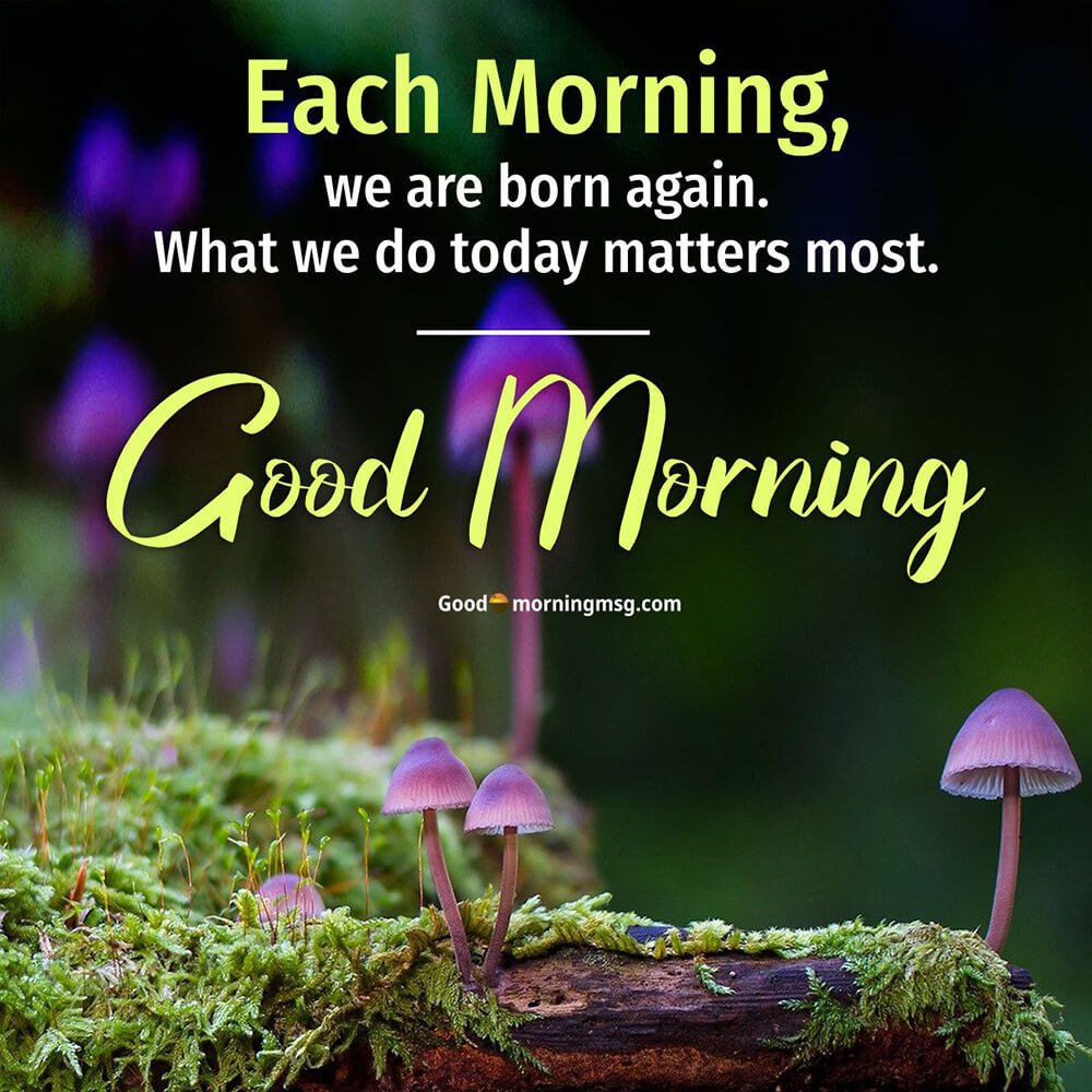 150 Good Morning Saturday Blessings Quotes Images And Greetings