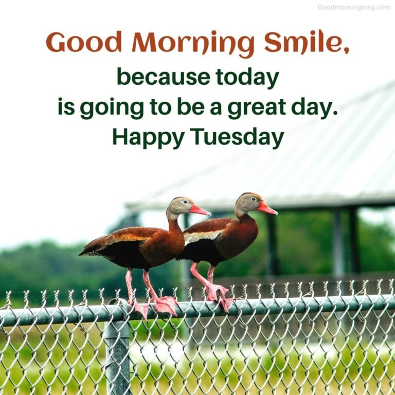 280+ Tuesday Good Morning Blessings Quotes And Images - goodmorningmsg ...