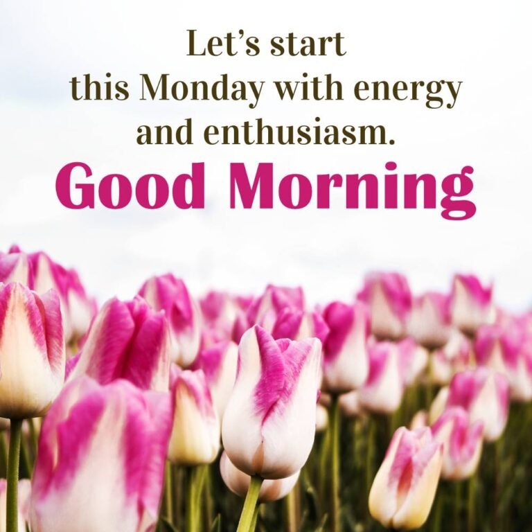 150+ Blessed Good Morning Monday Inspiration Quotes - goodmorningmsg ...