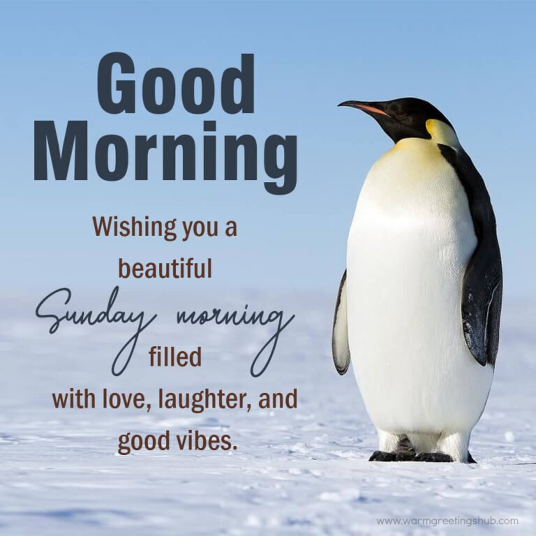 150+ Happy Sunday Good Morning Images - goodmorningmsg.com ...