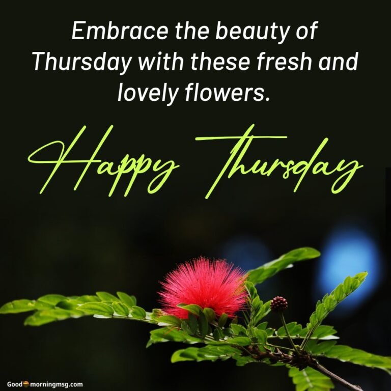 70+ Good Morning Thursday Flowers Images - goodmorningmsg.com ...