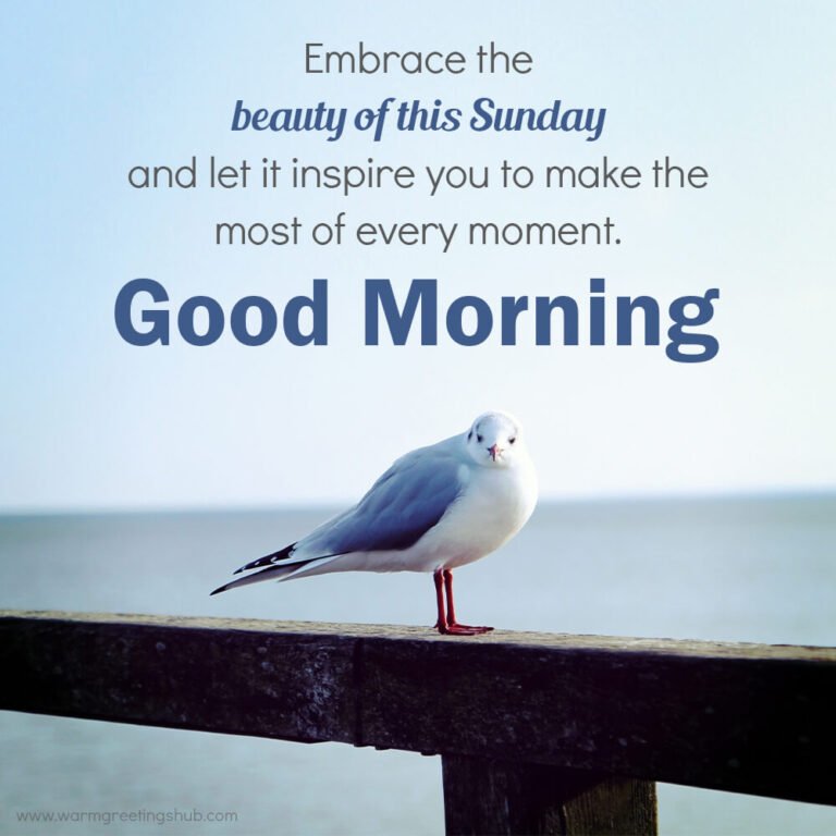 150+ Happy Sunday Good Morning Images - goodmorningmsg.com ...