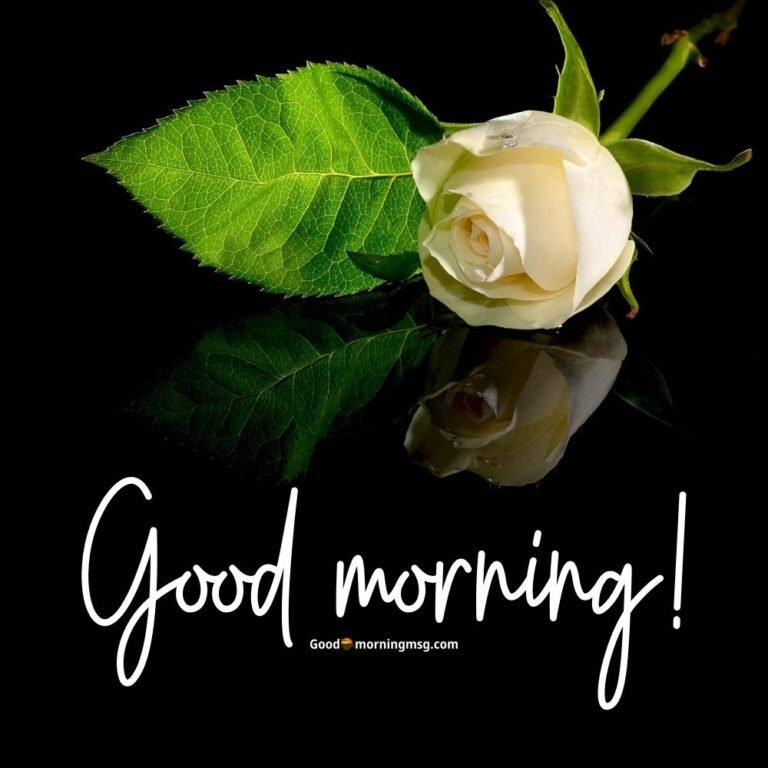 70+ Good Morning Thursday Flowers Images - goodmorningmsg.com ...