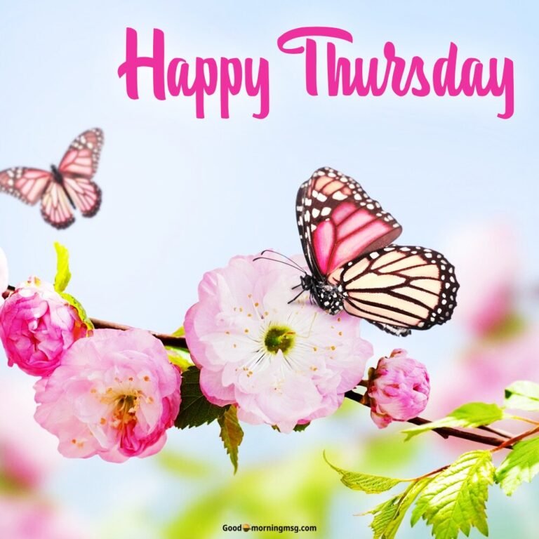 70+ Good Morning Thursday Flowers Images - goodmorningmsg.com ...