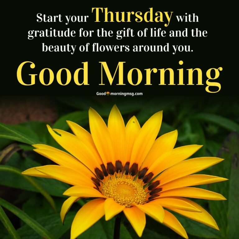 70+ Good Morning Thursday Flowers Images - goodmorningmsg.com ...
