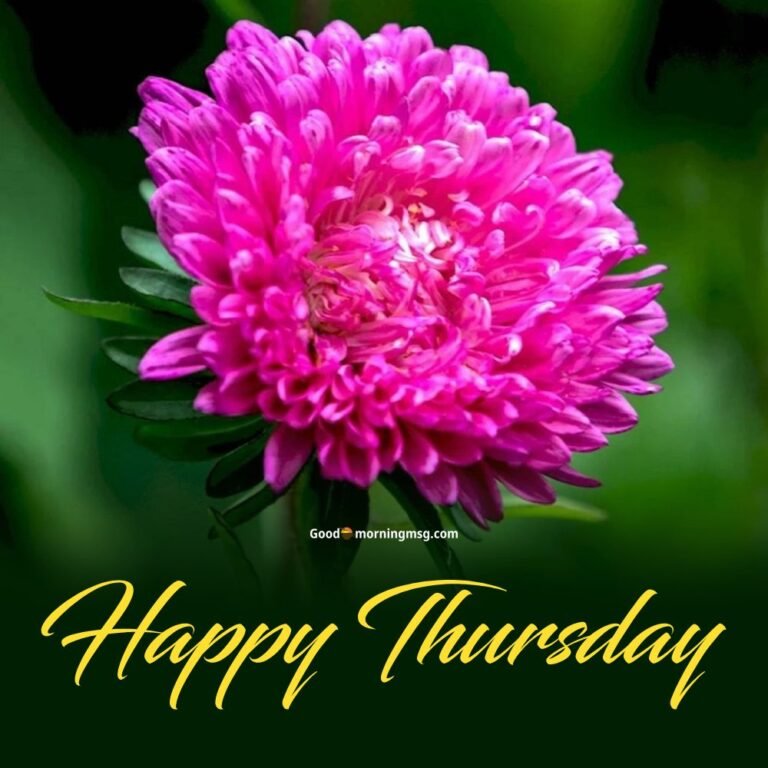 70+ Good Morning Thursday Flowers Images - goodmorningmsg.com ...