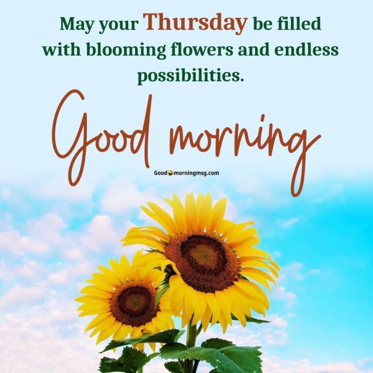 70+ Good Morning Thursday Flowers Images - goodmorningmsg.com ...