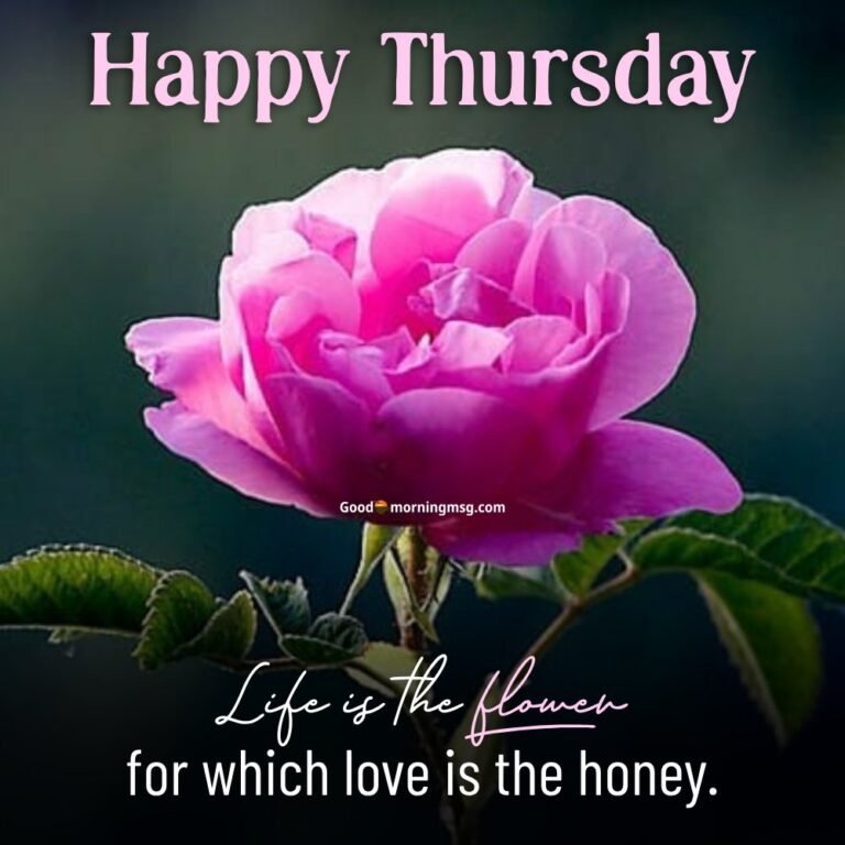 70+ Good Morning Thursday Flowers Images - goodmorningmsg.com ...