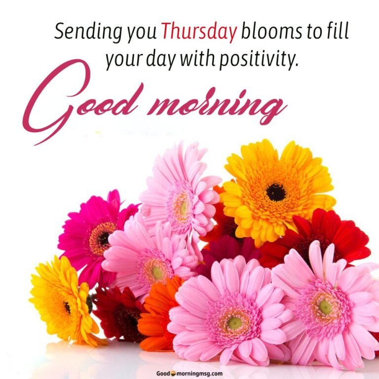 70+ Good Morning Thursday Flowers Images - goodmorningmsg.com ...