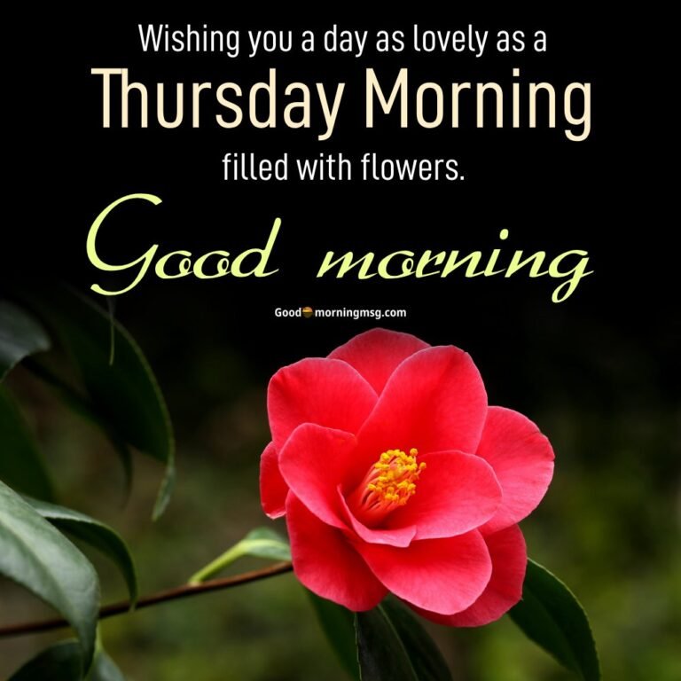 70+ Good Morning Thursday Flowers Images - goodmorningmsg.com ...