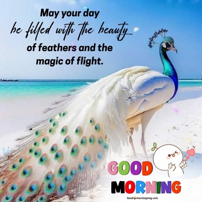 Good Morning Birds Images - goodmorningmsg.com - goodmorningmsg.com