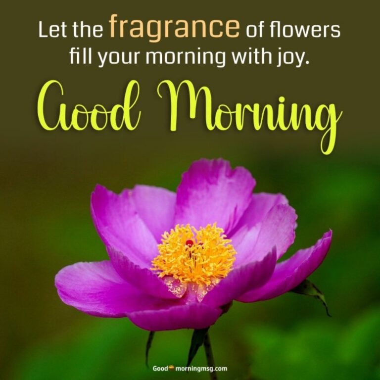 Beautiful Love Good Morning Flowers Quotes and Wallpaper ...