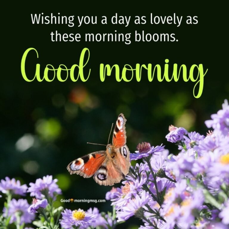 Beautiful Love Good Morning Flowers Quotes and Wallpaper ...