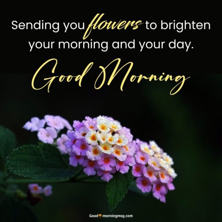 Beautiful Love Good Morning Flowers Quotes and Wallpaper ...