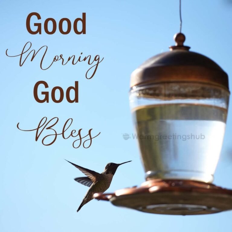 Beautiful Good Morning Images with Nature and Sunrise - goodmorningmsg ...