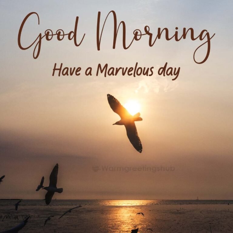 Beautiful Good Morning Images with Nature and Sunrise - goodmorningmsg ...