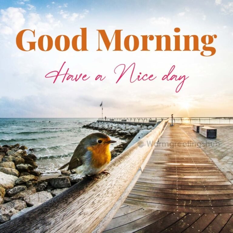 Beautiful Good Morning Images with Nature and Sunrise - goodmorningmsg ...