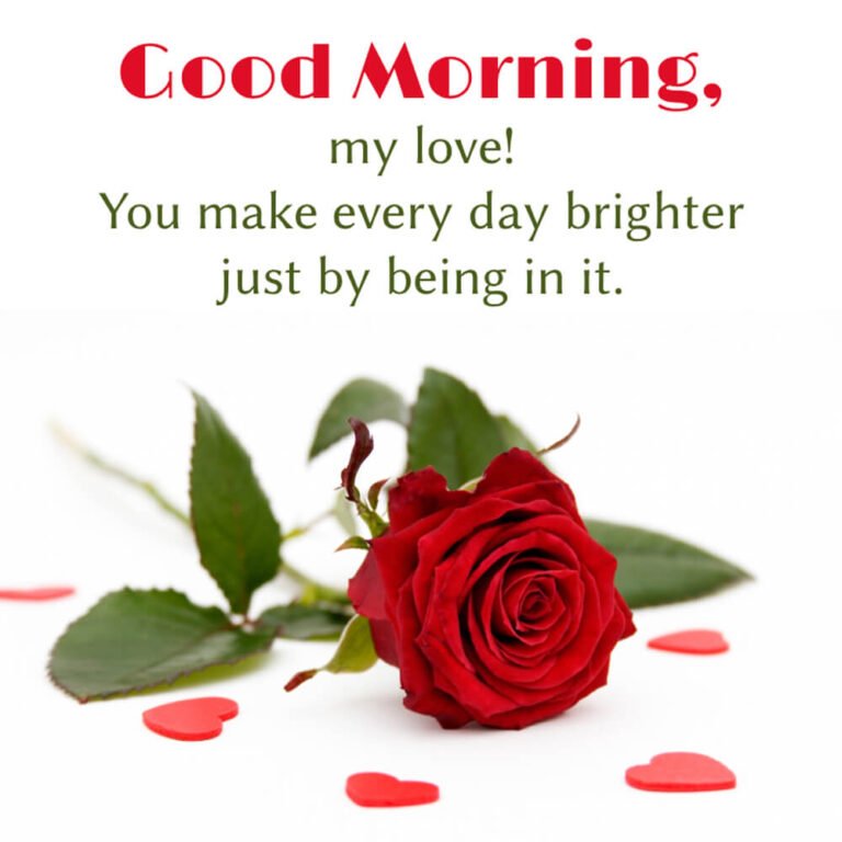 Beautiful Love Good Morning Flowers Quotes and Wallpaper ...