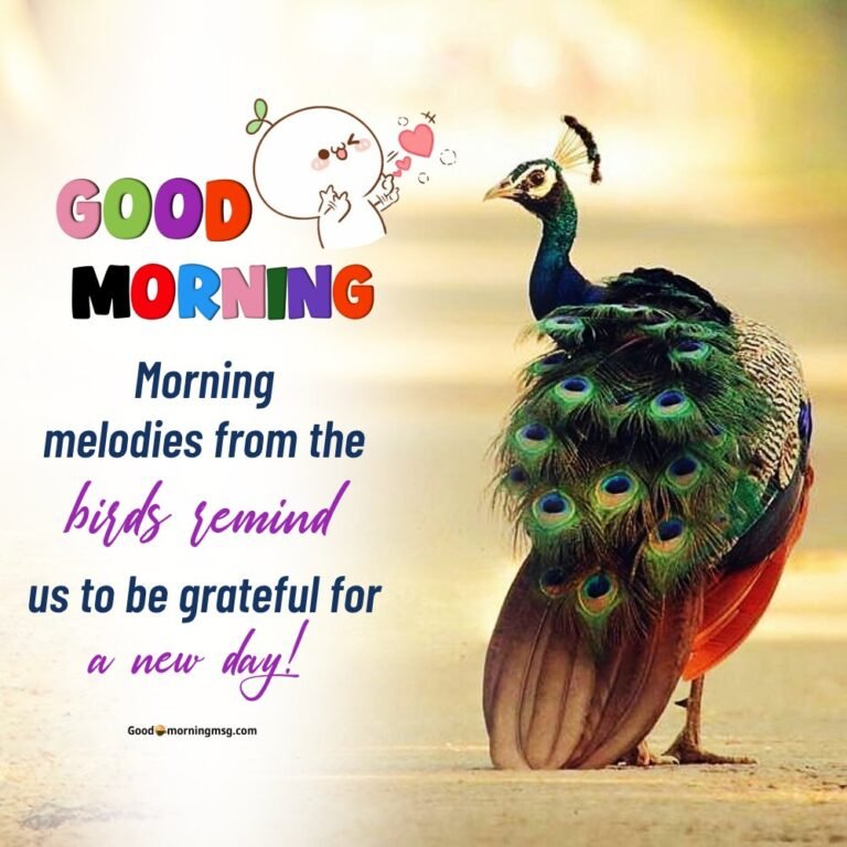 Good Morning Birds Images - goodmorningmsg.com - goodmorningmsg.com