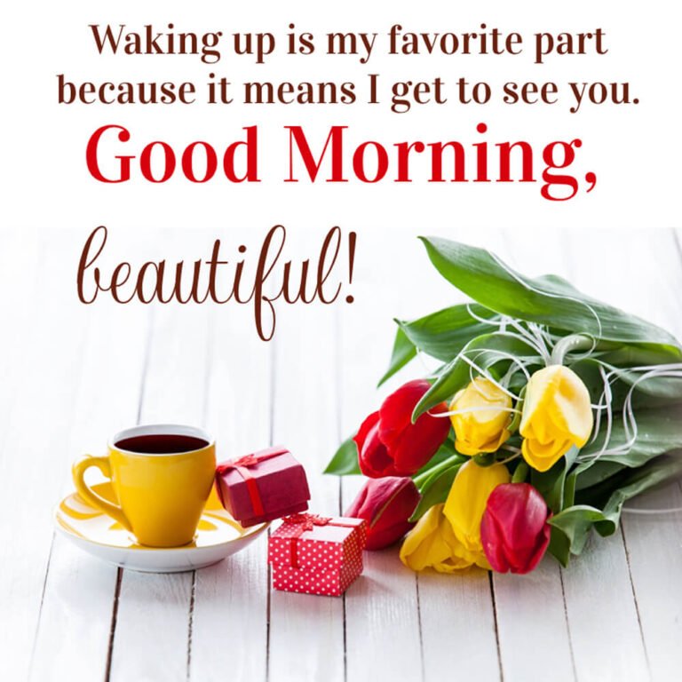 Beautiful Love Good Morning Flowers Quotes and Wallpaper ...