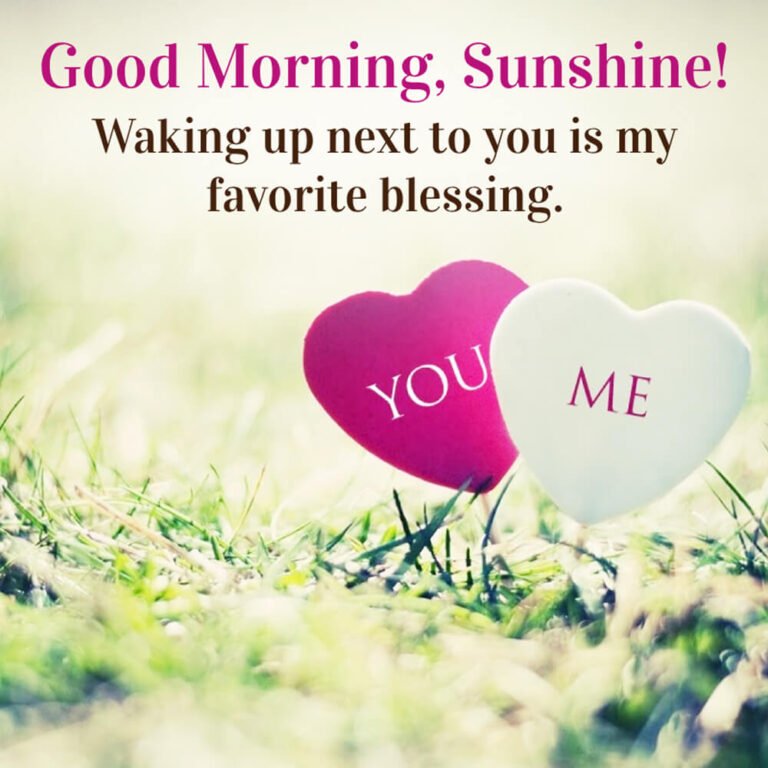 Beautiful Love Good Morning Flowers Quotes and Wallpaper ...