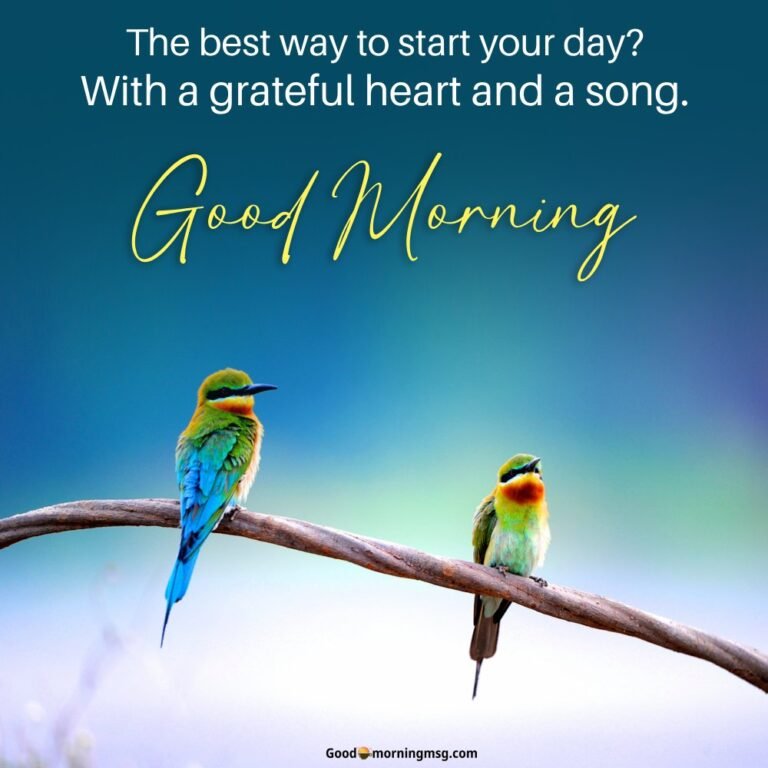 Good Morning Birds Images - goodmorningmsg.com - goodmorningmsg.com