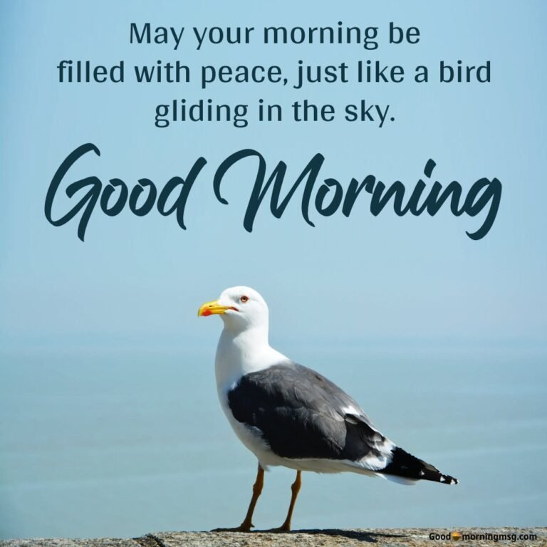 Good Morning Birds Images - goodmorningmsg.com - goodmorningmsg.com