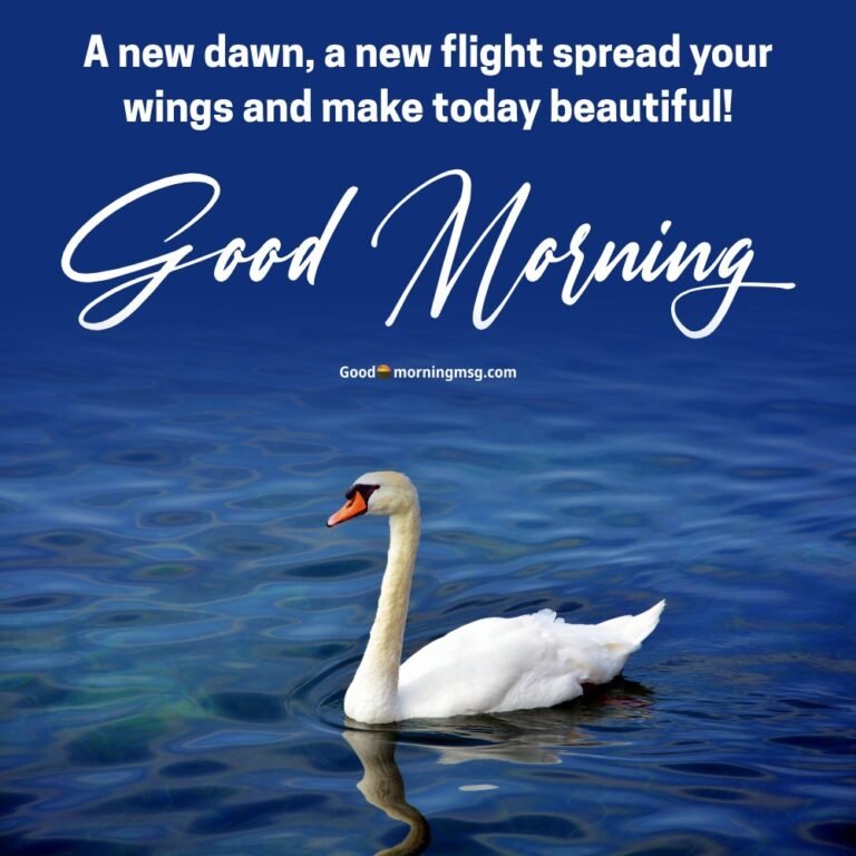 Good Morning Birds Images - goodmorningmsg.com - goodmorningmsg.com