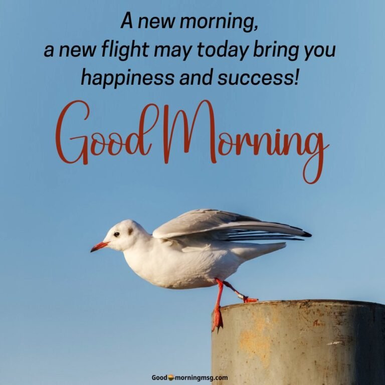 Good Morning Birds Images - goodmorningmsg.com - goodmorningmsg.com