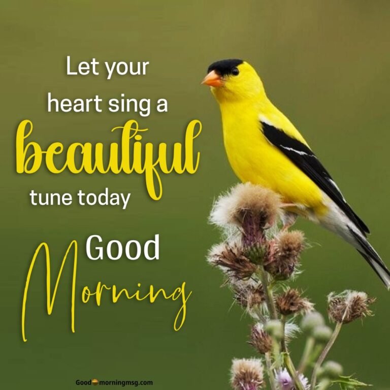 Good Morning Birds Images - goodmorningmsg.com - goodmorningmsg.com