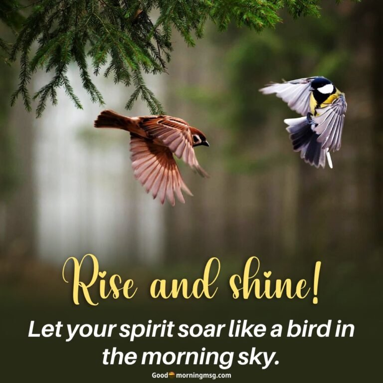 Good Morning Birds Images - goodmorningmsg.com - goodmorningmsg.com