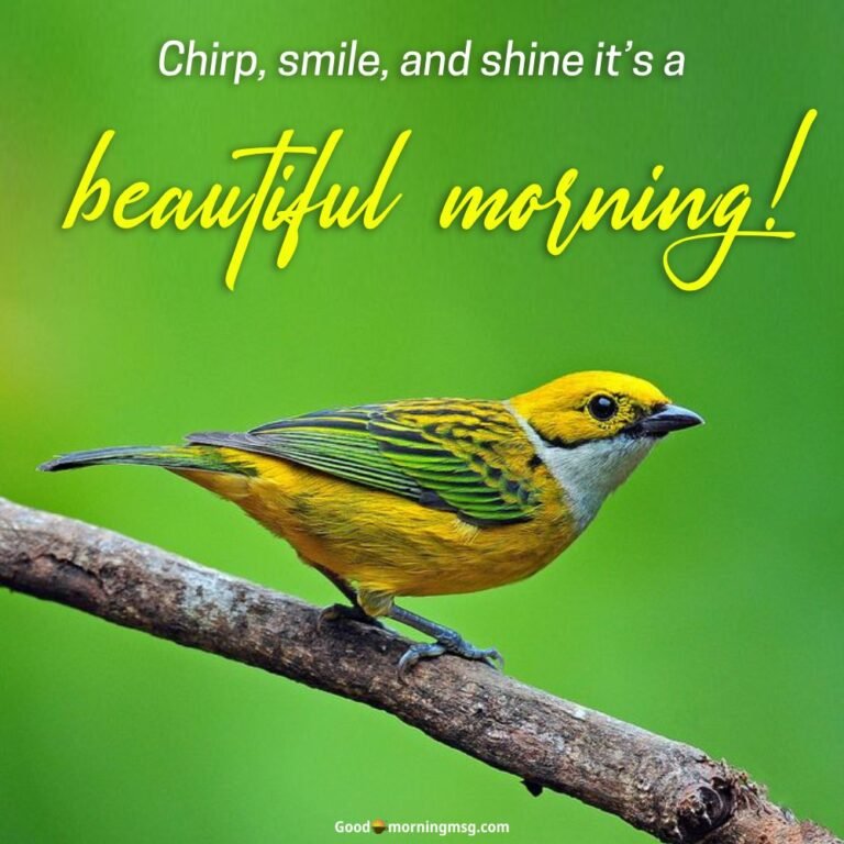 Good Morning Birds Images - goodmorningmsg.com - goodmorningmsg.com