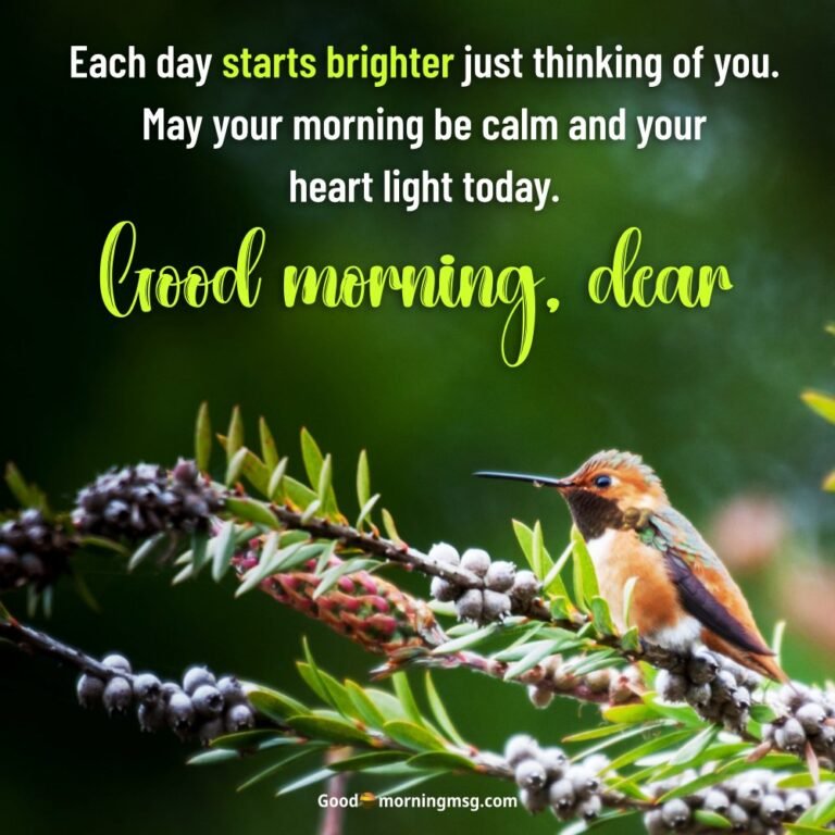 Good Morning Birds Images - goodmorningmsg.com - goodmorningmsg.com