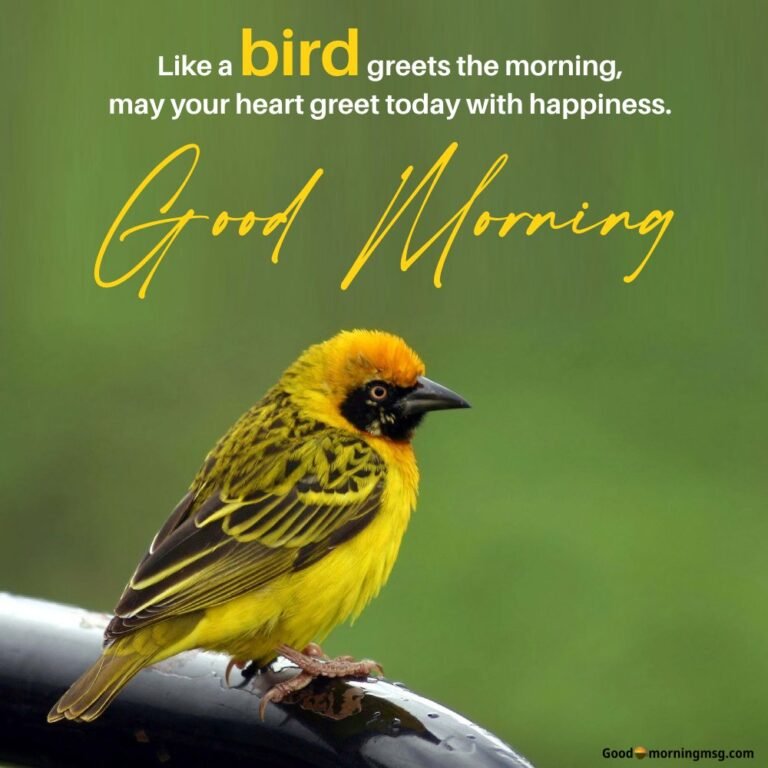 Good Morning Birds Images - goodmorningmsg.com - goodmorningmsg.com