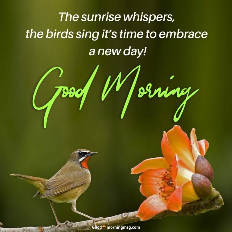 Good Morning Birds Images - goodmorningmsg.com - goodmorningmsg.com