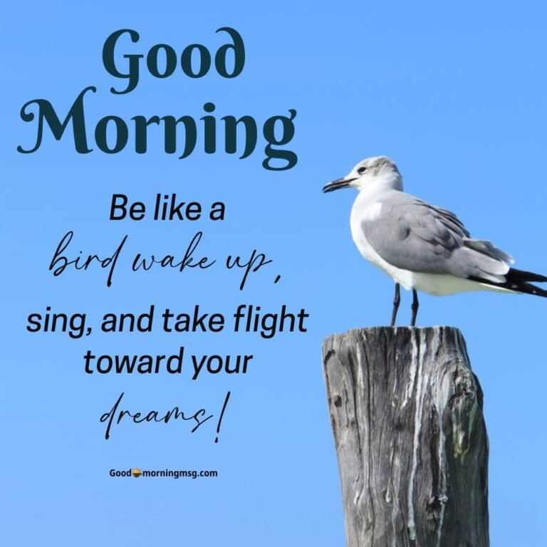 Good Morning Birds Images - goodmorningmsg.com - goodmorningmsg.com