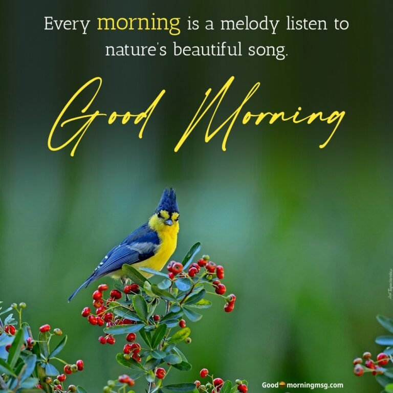 Good Morning Birds Images - goodmorningmsg.com - goodmorningmsg.com