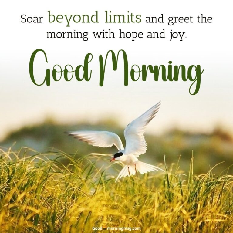 Good Morning Birds Images - goodmorningmsg.com - goodmorningmsg.com