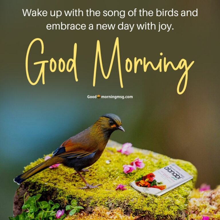 Good Morning Birds Images - goodmorningmsg.com - goodmorningmsg.com