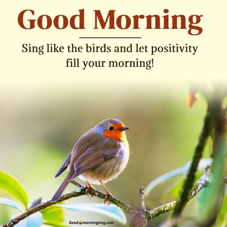 Good Morning Birds Images - goodmorningmsg.com - goodmorningmsg.com