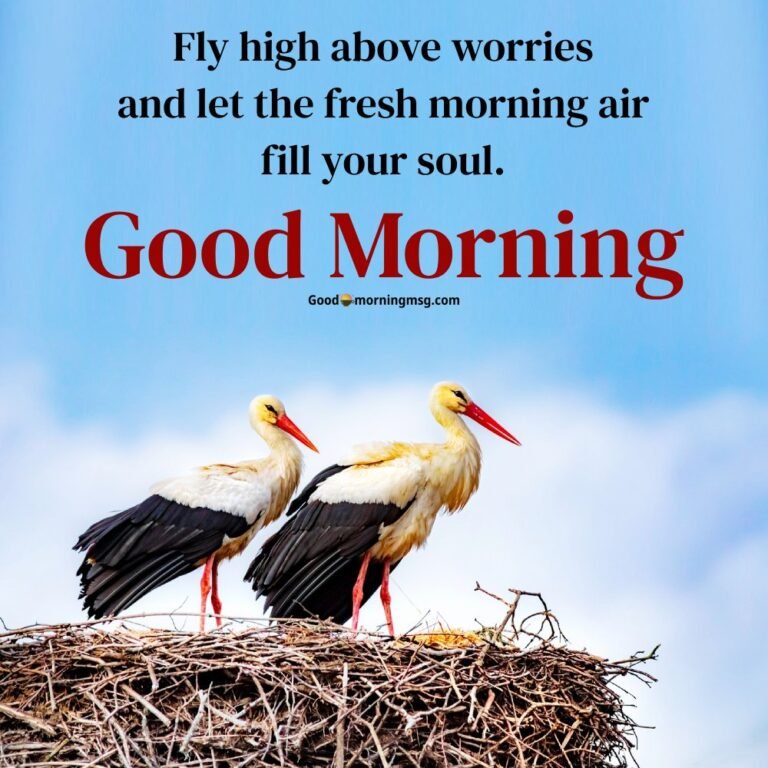 Good Morning Birds Images - goodmorningmsg.com - goodmorningmsg.com