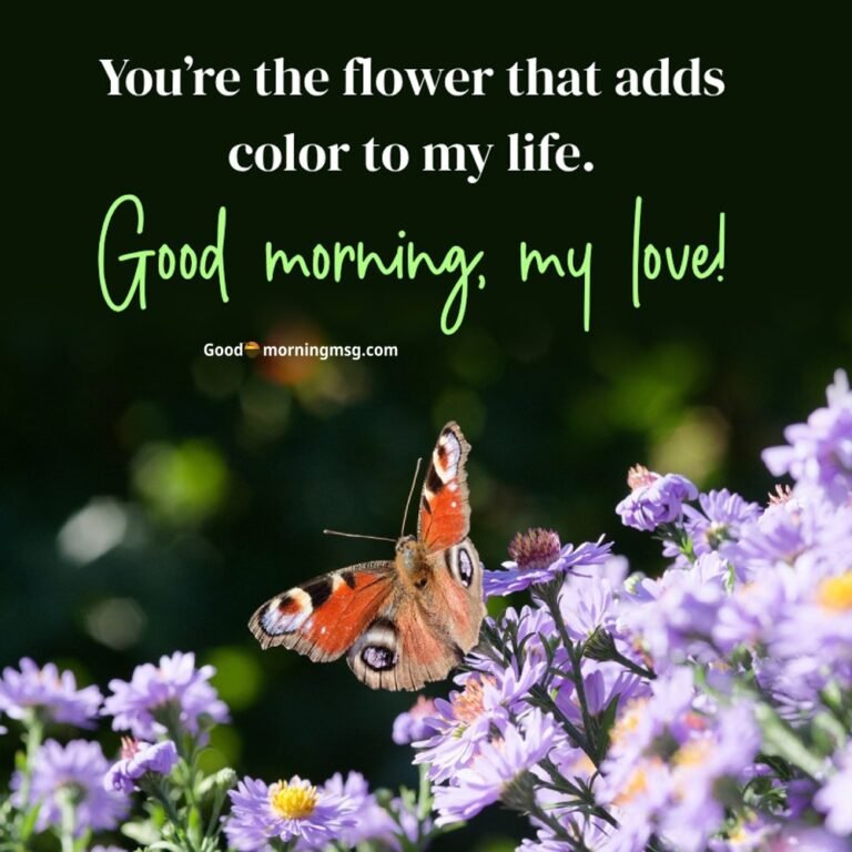 Best Good Morning Flower Quotes And Images - goodmorningmsg.com ...