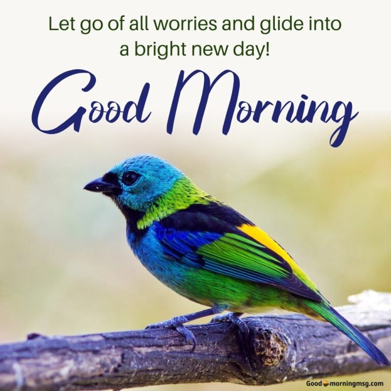 Good Morning Birds Images - goodmorningmsg.com - goodmorningmsg.com