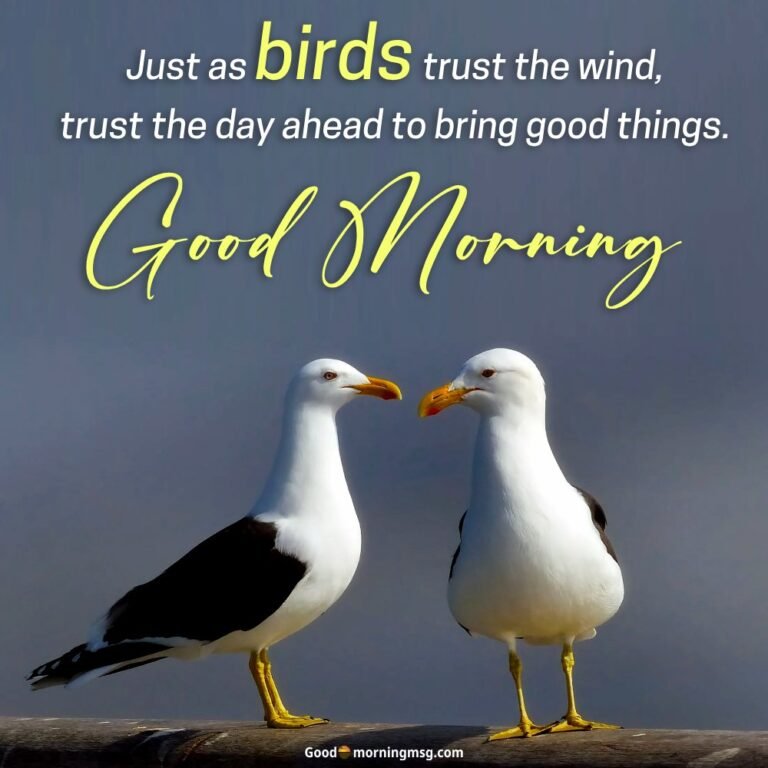 Good Morning Birds Images - goodmorningmsg.com - goodmorningmsg.com