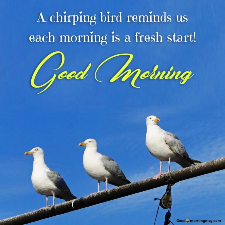 Good Morning Birds Images - goodmorningmsg.com - goodmorningmsg.com