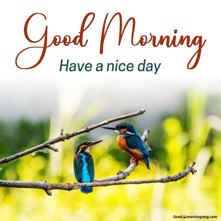 Good Morning Birds Images - goodmorningmsg.com - goodmorningmsg.com