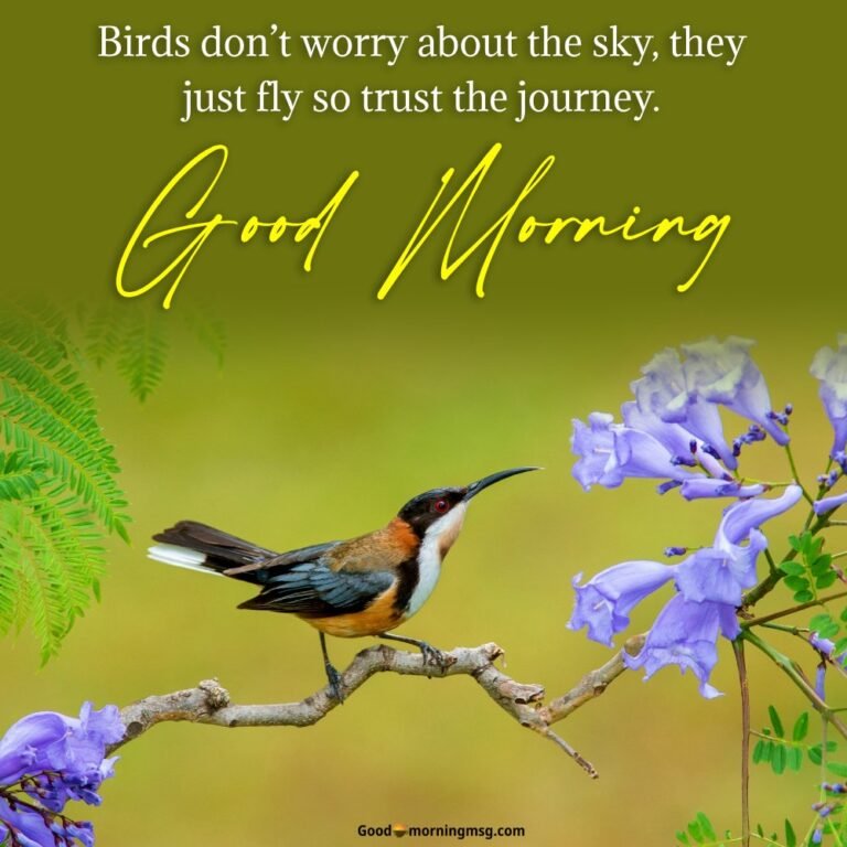 Good Morning Birds Images - goodmorningmsg.com - goodmorningmsg.com